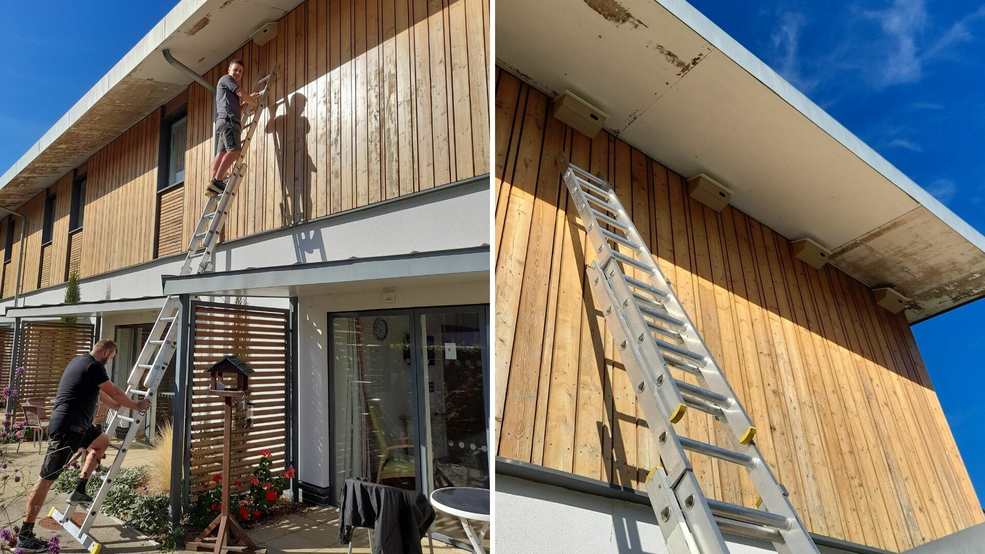 Hospice installs new Swift Boxes to increase biodiversity - Arthur Rank ...